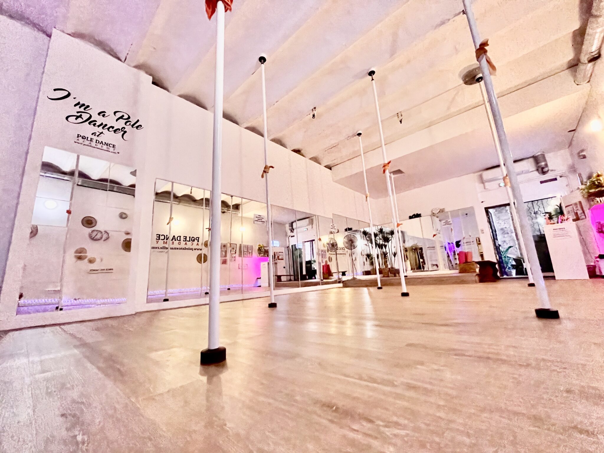 Ecole et centre de formation de pole dance à Marseille - Pole Dance Academy
